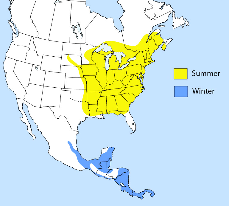 Wood Thrush Range Map | Music of Nature