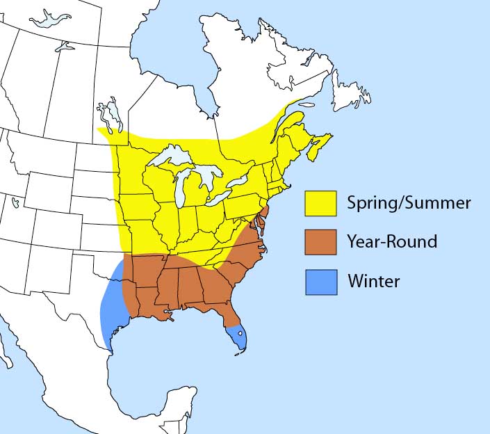 American Woodcock - range map | Music of Nature