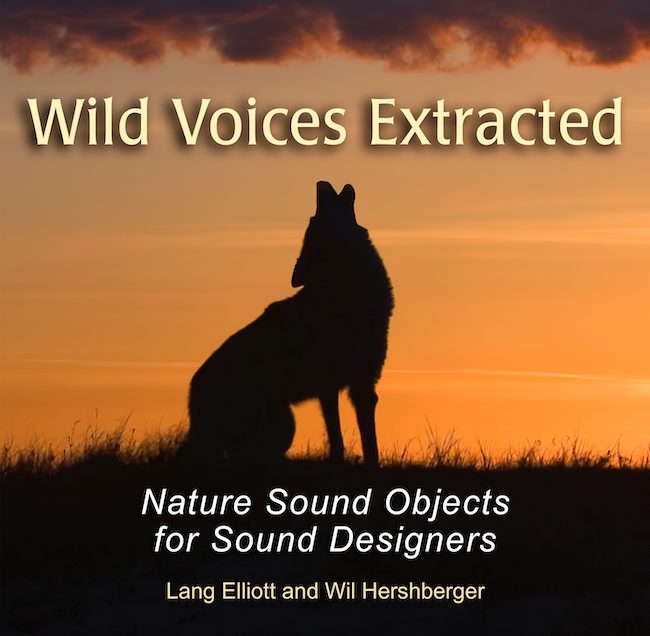 Amazon Rainforest Soundscapes | Music of Nature